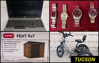 Sierra Auction is Arizona's Largest Public Auction